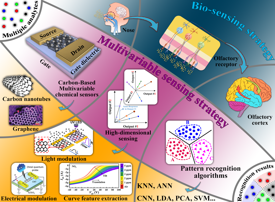 微电子学院张建华，张磊，宋健等《Nano-Micro Letters》：碳基多变量化学传感器在分析物精准识别领域的应用-上海大学微电子学院